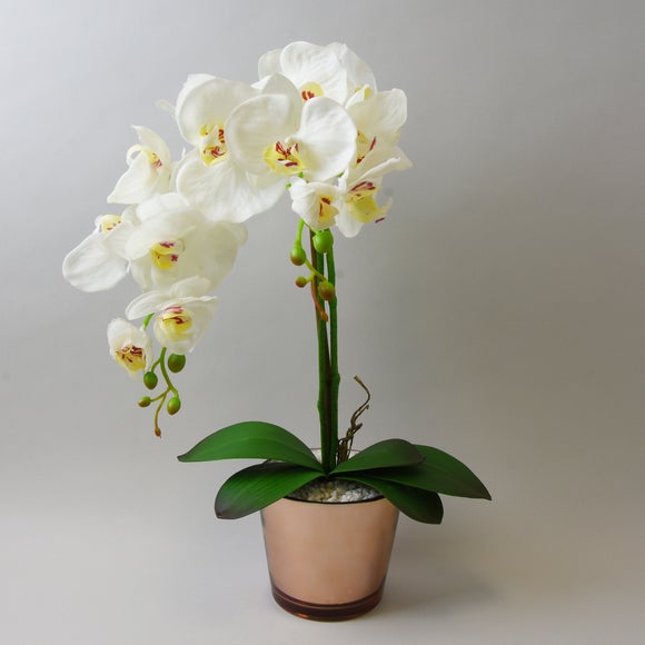 Artificial Cream Orchid in Gold Glass Plant Pot by Dunelm | ufurnish.com