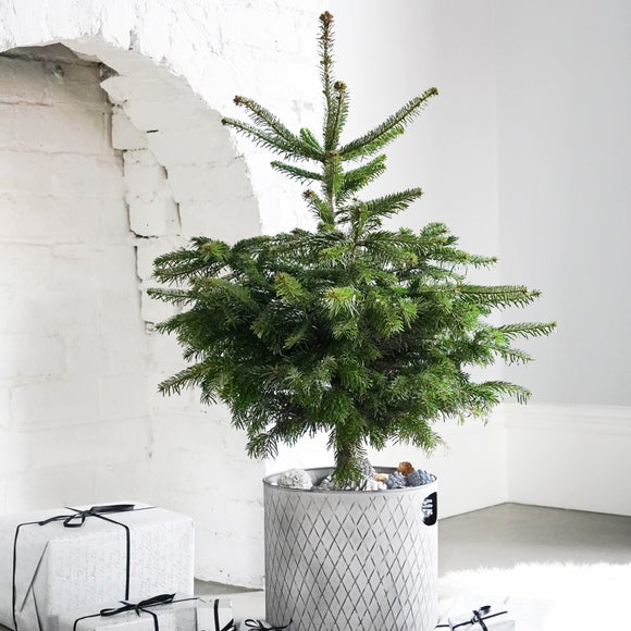 Indoor Zinc Christmas Tree Bucket by Dunelm | ufurnish.com