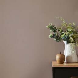 Dunelm Matt Emulsion Paint by Dunelm | ufurnish.com