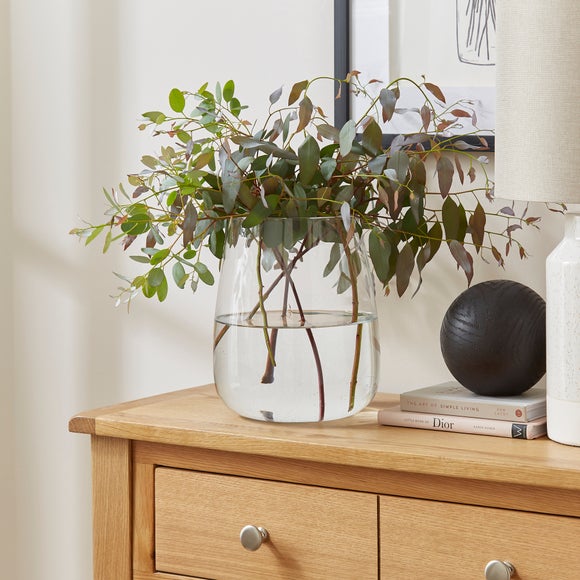 Rounded Corner Glass Tank Vase by Dunelm | ufurnish.com