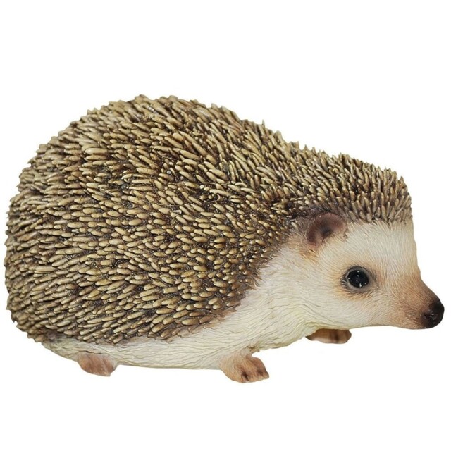 Vivid Arts Pygmy Hedgehog Ornament Pp-phed-f by eBay | ufurnish.com