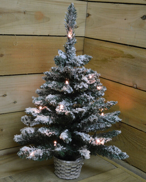 Premier 60cm Pre-lighted Christmas Tree by eBay | ufurnish.com