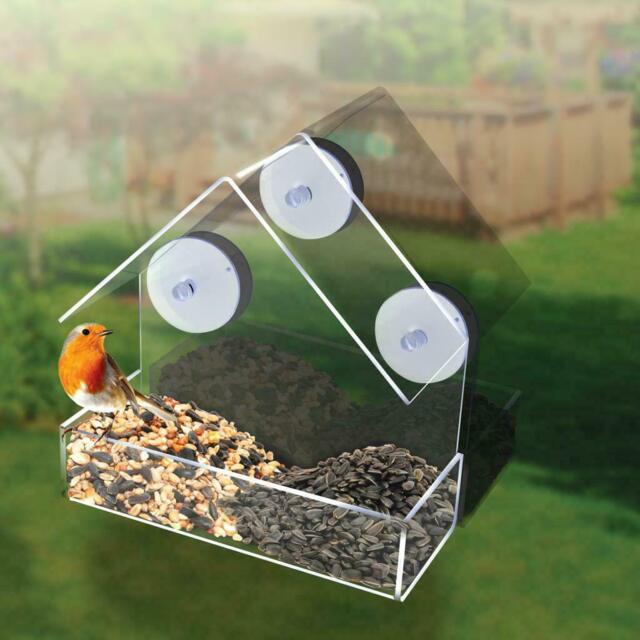 Hanging Window Bird Feeder Feeding Table Suction Perspex Clear Viewing ...