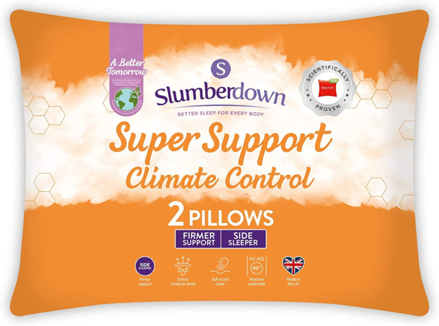 Slumberdown 2 Pack Sleep Pillows For Neck And Shoulder Pain Relief by eBay | ufurnish.com