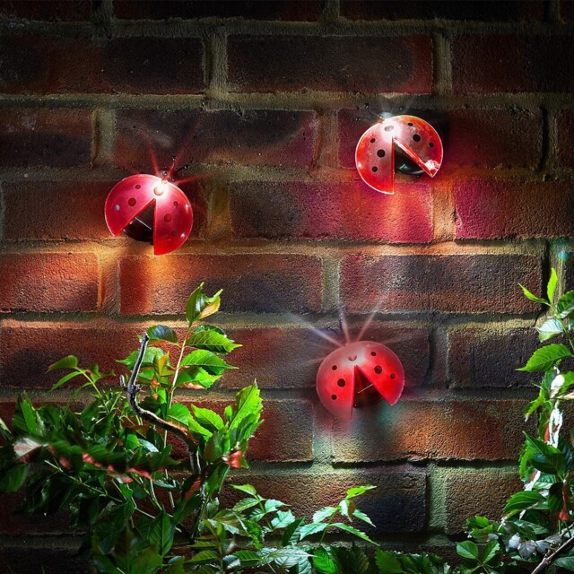 Solar Ladybird Wall Light Lady Bug Red Insect Wall Fence Lighting by ...