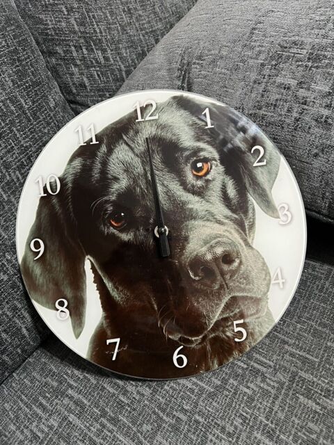 Glass Labrador Wall Clock by eBay | ufurnish.com