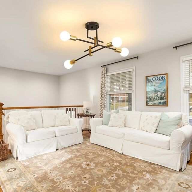 Dorlink Chandelier Light, 4 Lights Industrial Ceiling Light Black With ...