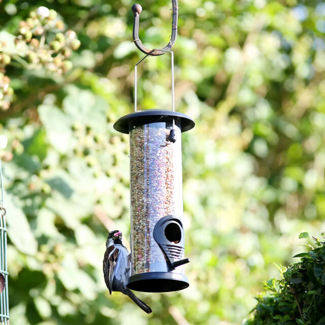 Wild Garden Bird Seed Feeder Heavy Duty Metal Hanging Loop Flip Top by ...