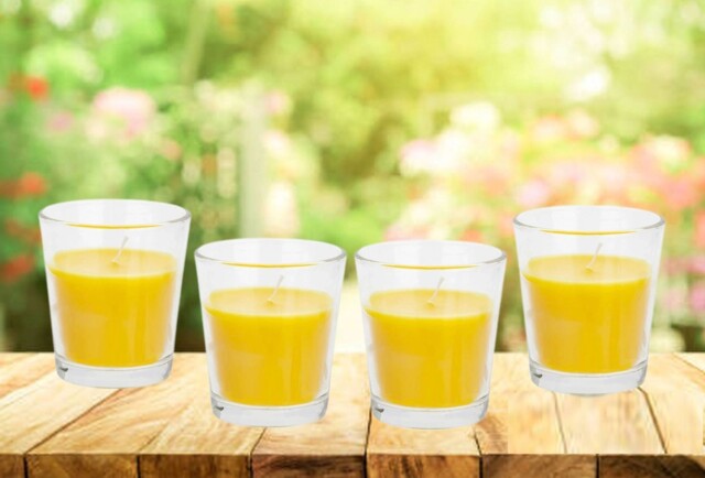 4 Outdoor Citronella Jar Candles Insect Bug Repellent Mosquito Fly by ...