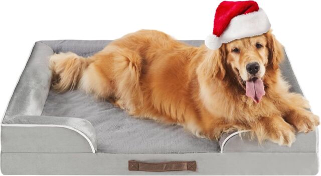 Codi Extra Large Memory Foam Layer Dog Bed, Washable Orthopedic Dog by ...