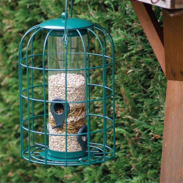 Bird Feeder Squirrel Resistant Bird Hanging Metal Feeding Station by ...