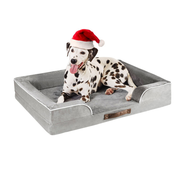 Codi Large Memory Foam Layer Dog Bed, Washable Orthopedic Dog Bed by ...