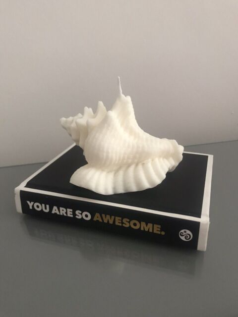 Large Conch Detailed Sea Shell Candle - White Soy - Hand Poured - by ...