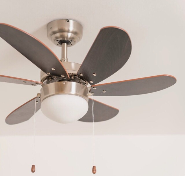 Minisun 18578 Ceiling Fan by eBay | ufurnish.com