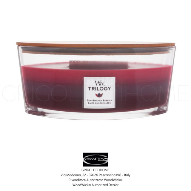 Woodwick - Elliptical Candle - Trilogy Sun-ripened Berries by eBay ...