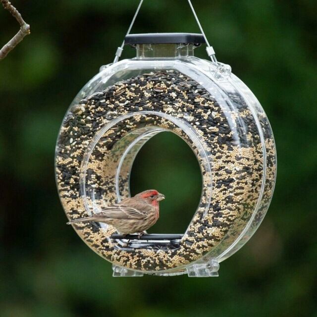 Large Plastic Ring Bird Feeder 31 Cm (h) X 29cm (w) Easy Refill With by ...