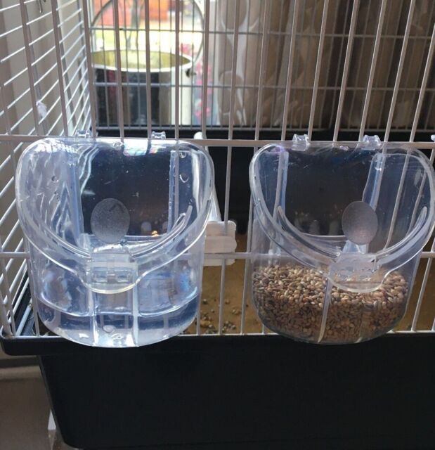 Imac Im951 Irene Bird Cage Budgie Canary Star Feeder Clear Bird Food by ...