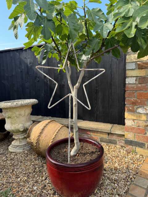 Christmas Garden Decorations/Metal Stars On Ground Spikes For The ...