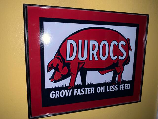 Duroc's Hog Pig Feed Store Barn Farm Farmer Garage Bar Framed ...