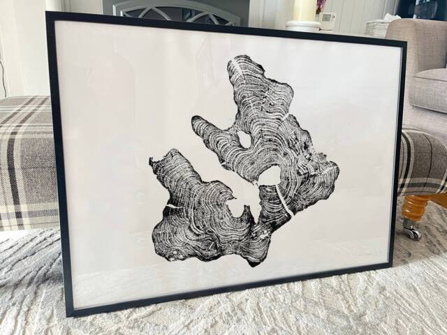 Olive Tree Ring Print, Tree, Large Woodcut Print, Stump Art, Slice Log ...