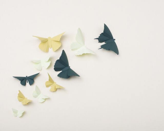 3D Wall Butterflies Butterfly Art For Nursery, Girl's Room, Classroom ...