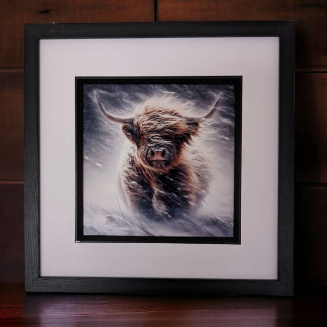 Framed Highland Cow Print Thor in Scottish Snowstorm - 12x12 by Etsy ...