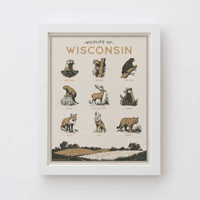 Wisconsin Wildlife Wall Art Print - Vintage Animal Poster Design ...