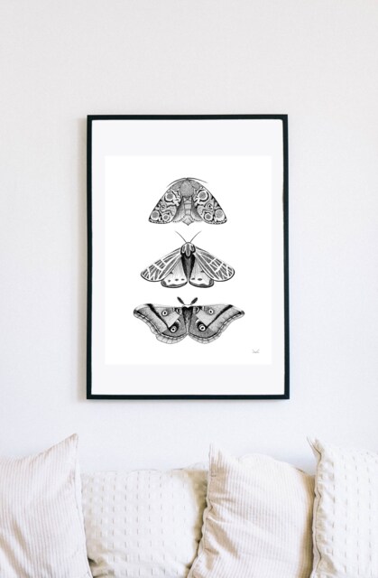 Mb Wild Moth Trio - Flora + Fauna Series by Etsy | ufurnish.com