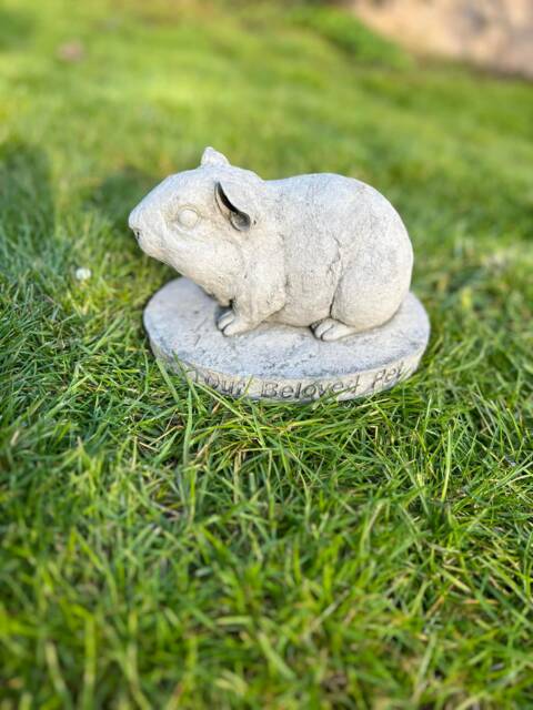 Stone/Concrete Beloved Pet Guinea Pig Garden Ornament Statue by Etsy ...