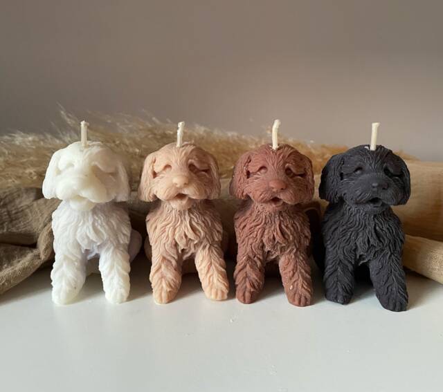 Cockapoo/Cavapoo Candle, Fragranced With Coconut Cockapoo - Cavapoo Multipoo Teddy by Etsy ...