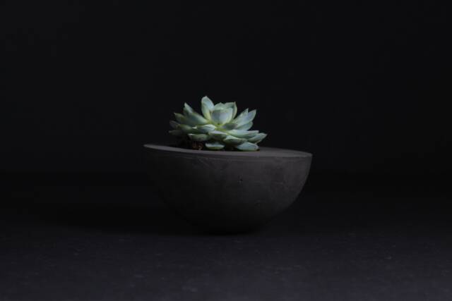 Hemisphere Concrete Planter - Charcoal Plant Pot Cement Pretty ...