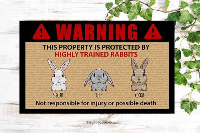 Rabbit Custom Doormat, Warning This Property Is Protected By Highly ...