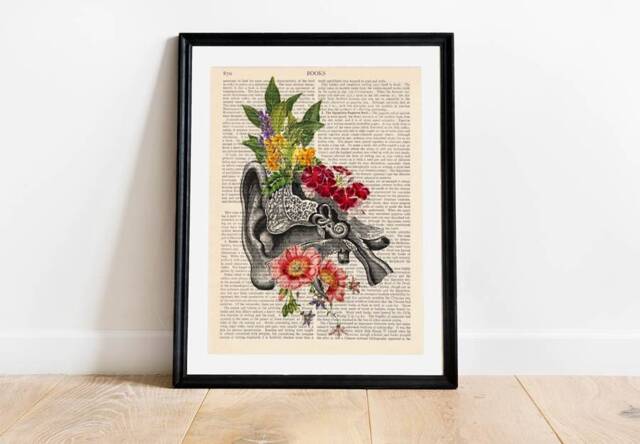 Outer Ear Anatomy Print, Audiology Gift, Office Decor, Hearing Doctor ...