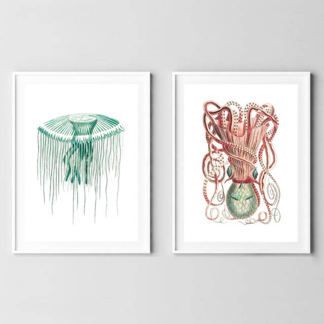 Din A4 Art Print Set Of 2 Without Frame - Vintage Octopus Squid ...
