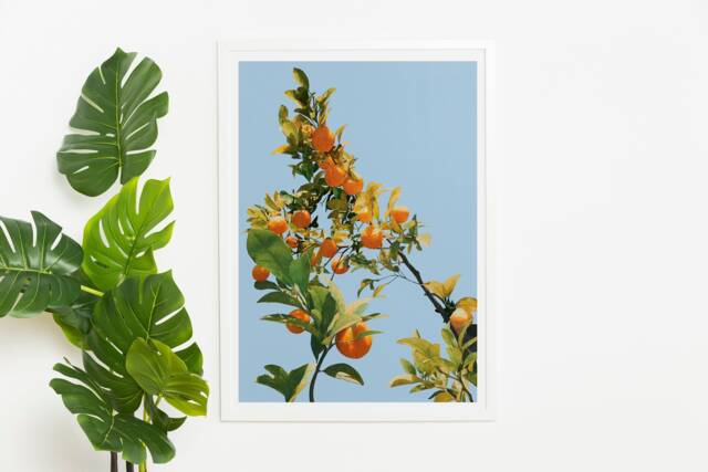 Orange Tree Art Print Mediterranean Landscape Illustration by Etsy ...