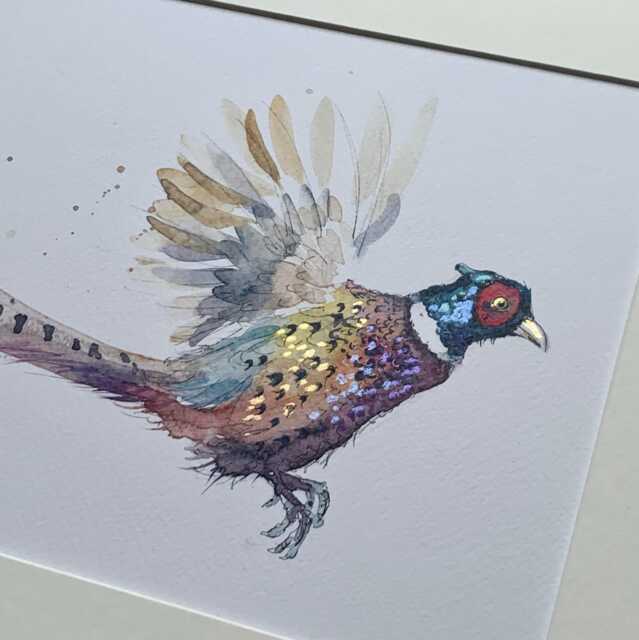 Pheasant Watercolour Print Handfinished - Flying Pheasant Art, Limited ...