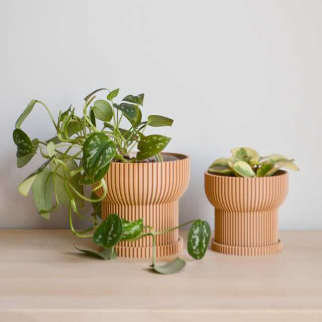 Japandi Ridge Planter 3D Printed Fluted Succulent Pot With Saucer by ...