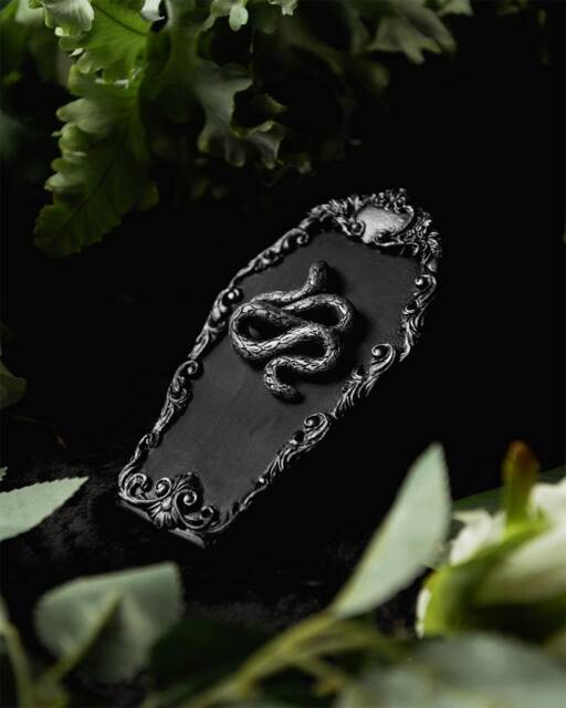 Snake in Coffin Ornate Wall Hanging - Gothic Home Decor Witchy Gift ...