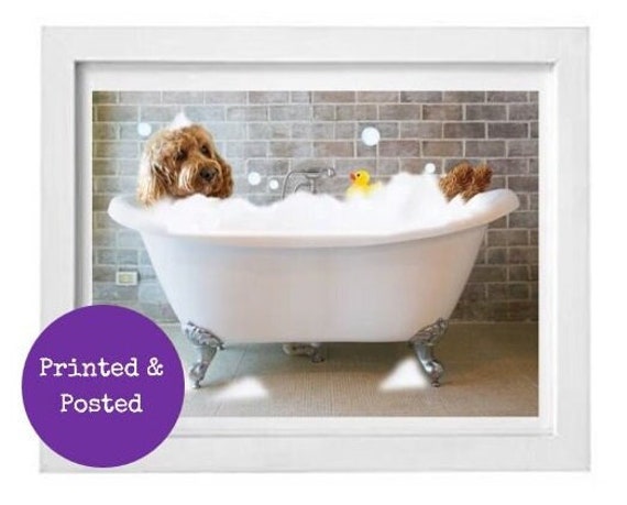 Funny Cavapoo Print - Dog in Bath Picture Bathroom Wall Art Animals in ...