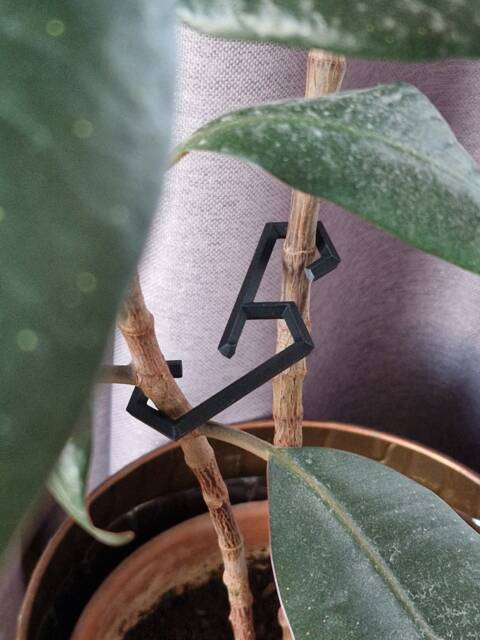 Colorful Plant Stake & Stem Support For Alocasia, Monstera ...