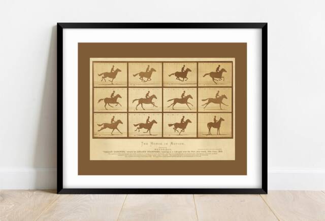 Muybridge Horse in Motion Print Equestrian Art, Racing Poster by Etsy ...