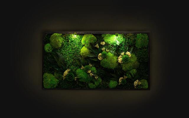 Christmas Gift Idea Beautiful Preserved Moss Artwork With Led Lights ...