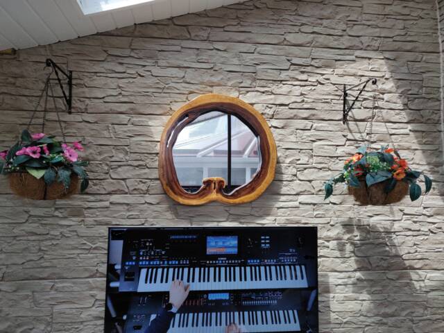 Mirror Unique Live Edge Curved Suar Wood, Decoration, Art, Handcraft by ...