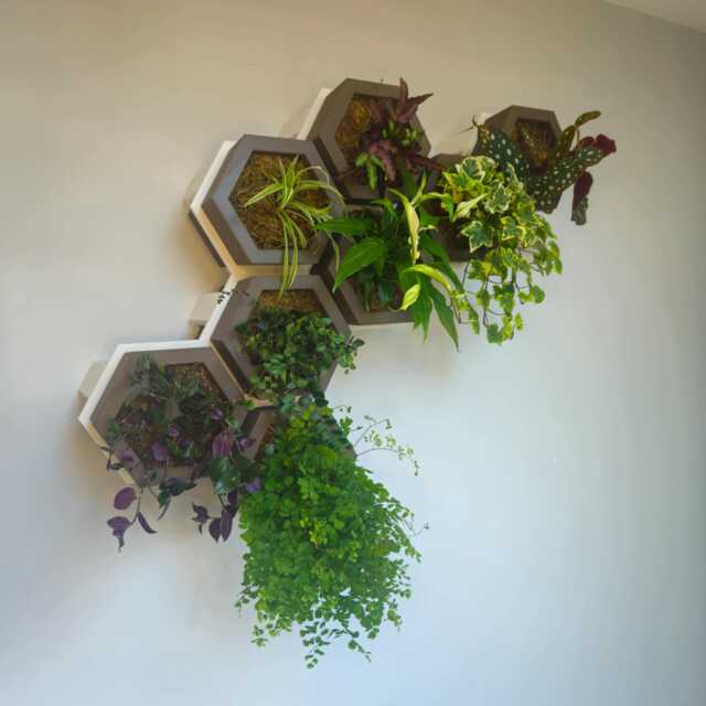Hexa Six Modern Hexagonal Wall Planter - 3D Printed Minimalist Home ...