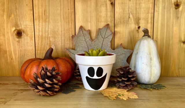 Ghost Plant Pot 9 cm - Painted Terracotta Planter With Drainage Hole ...