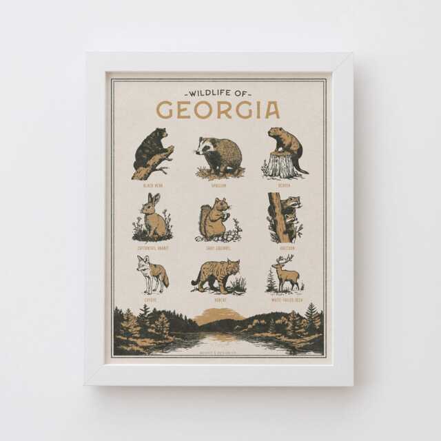 Georgia Wildlife Wall Art Print - Vintage Poster Design, Archival ...
