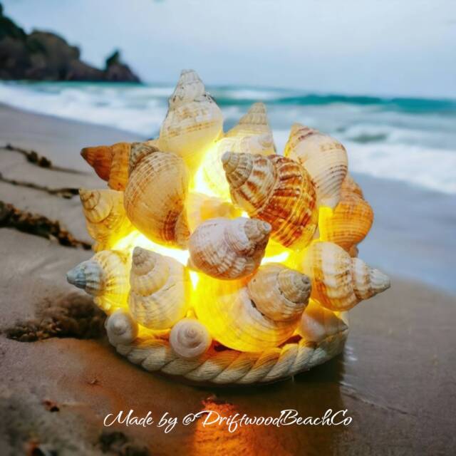Handcrafted Whelk Shell Nightlight Led Accent Lamp by Etsy | ufurnish.com
