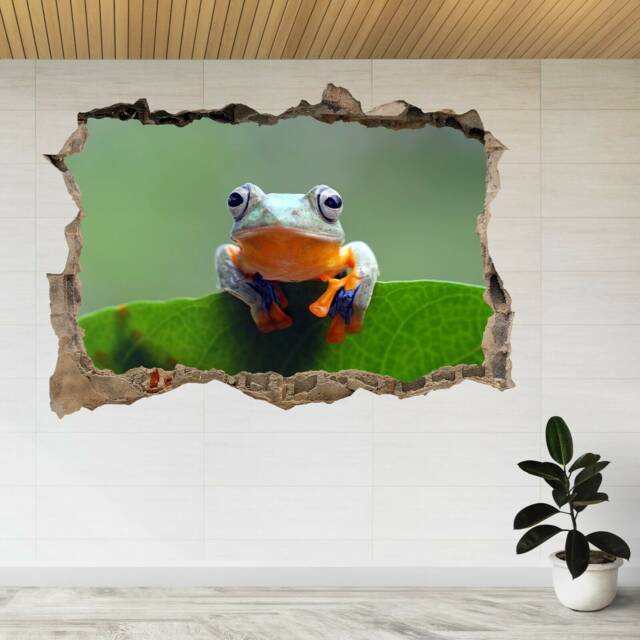 Flying Frog On Green Leaves 3D Smashed View Wall Sticker Poster Decal ...