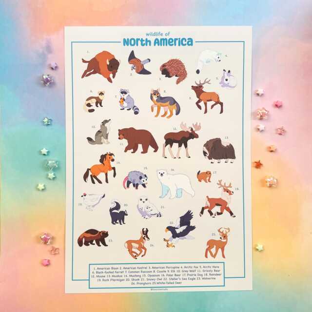 North American Animals Poster by Etsy | ufurnish.com