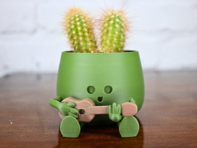 Official Happy Face Planter- Cute Guitar Buddy - A Cute Succulent Plant ...